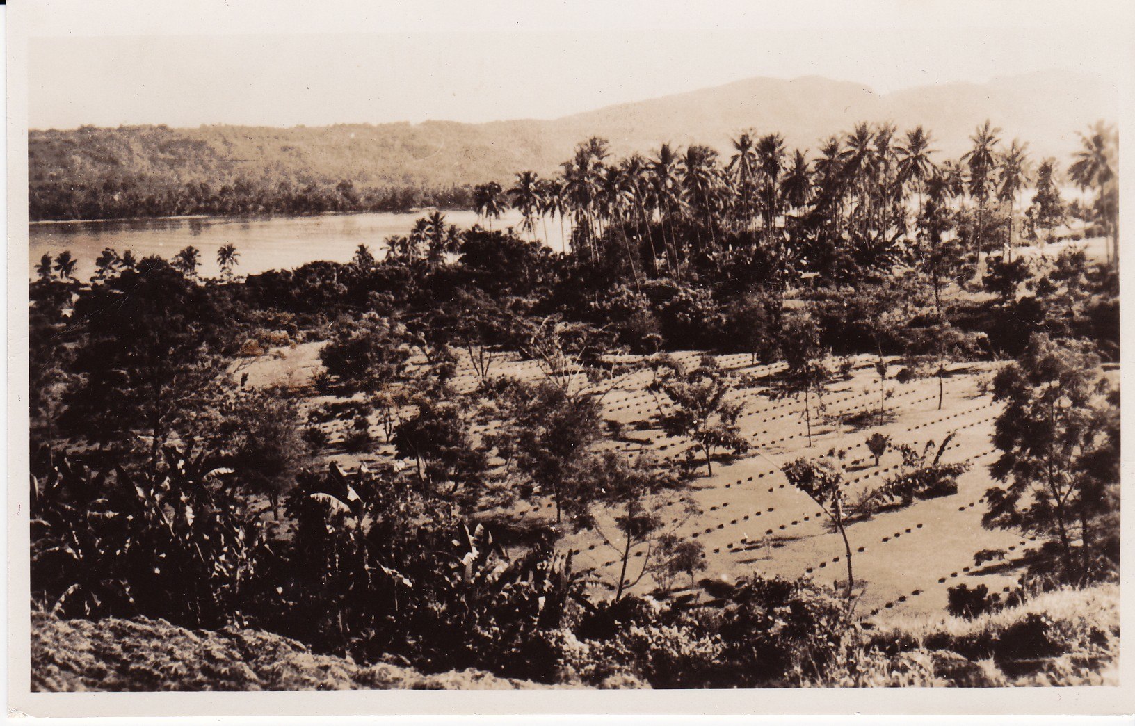 Gull Force - Historical Ambon