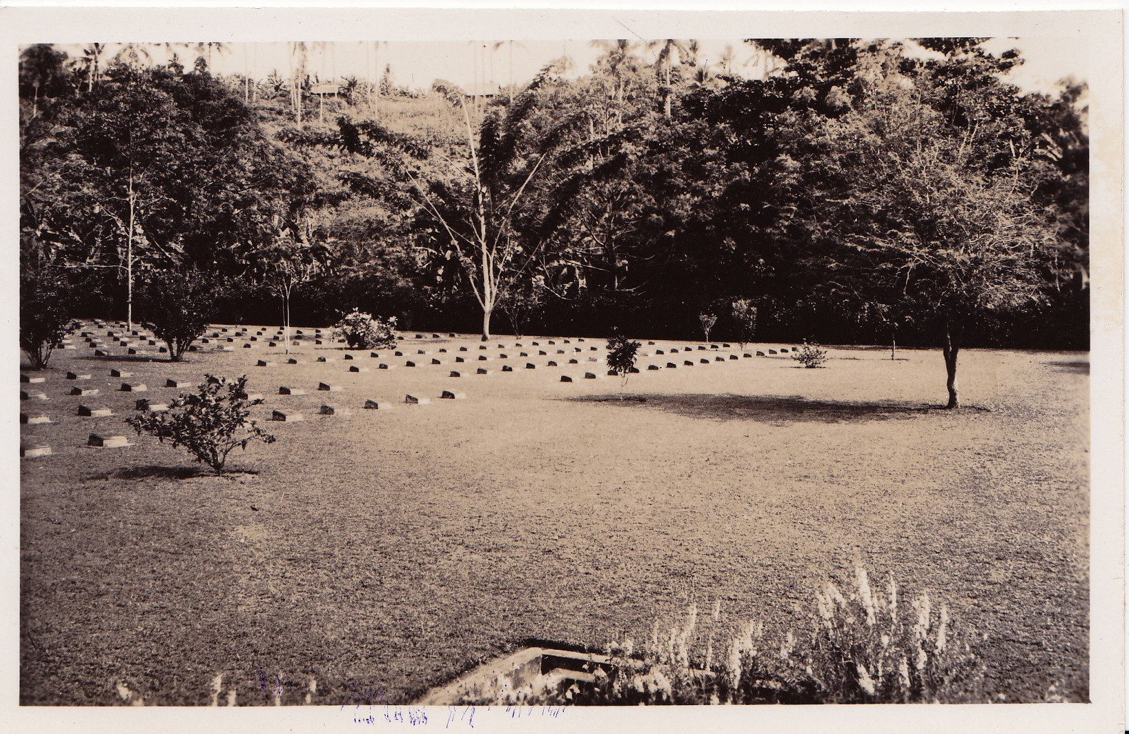 Gull Force - Historical Ambon