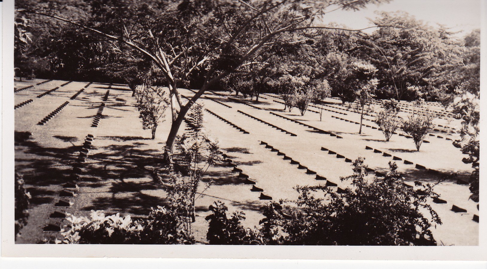 Gull Force - Historical Ambon